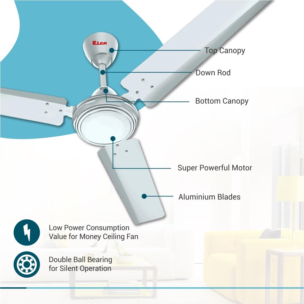 Rico 3 Blade 1400mm Ceiling Fan CF809 (White)– Rico India