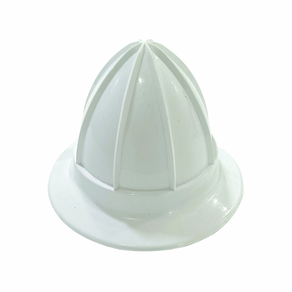 FP101 Citrus Juicer Cone (Only Compatible with Rico Products)– Rico India